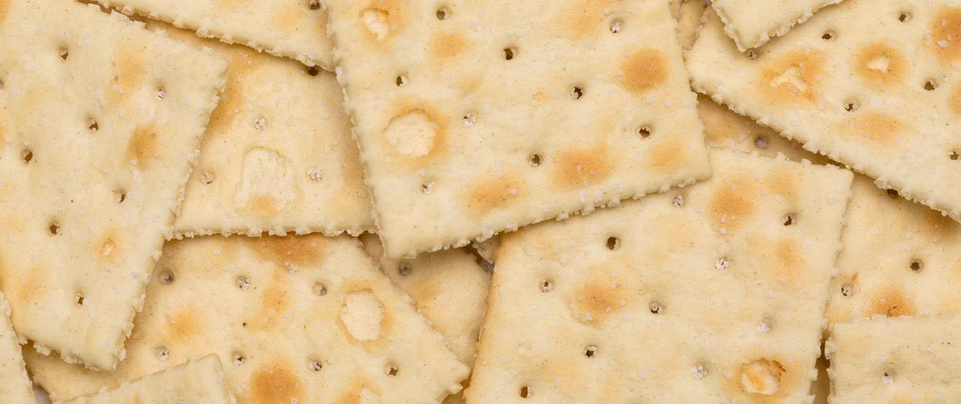 Cracker and Cookie Production Equipment | Horizon Systems